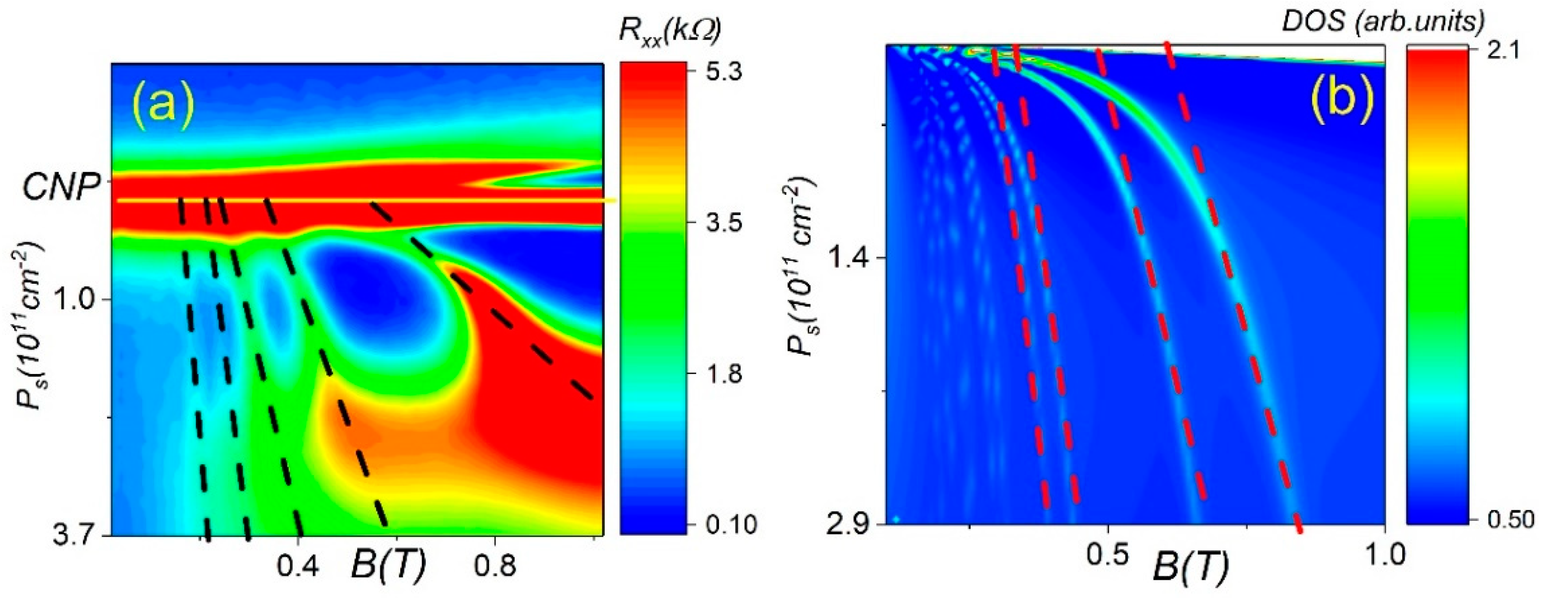 Quantum Transport of Dirac Fermions in HgTe Gapless Quantum Wells