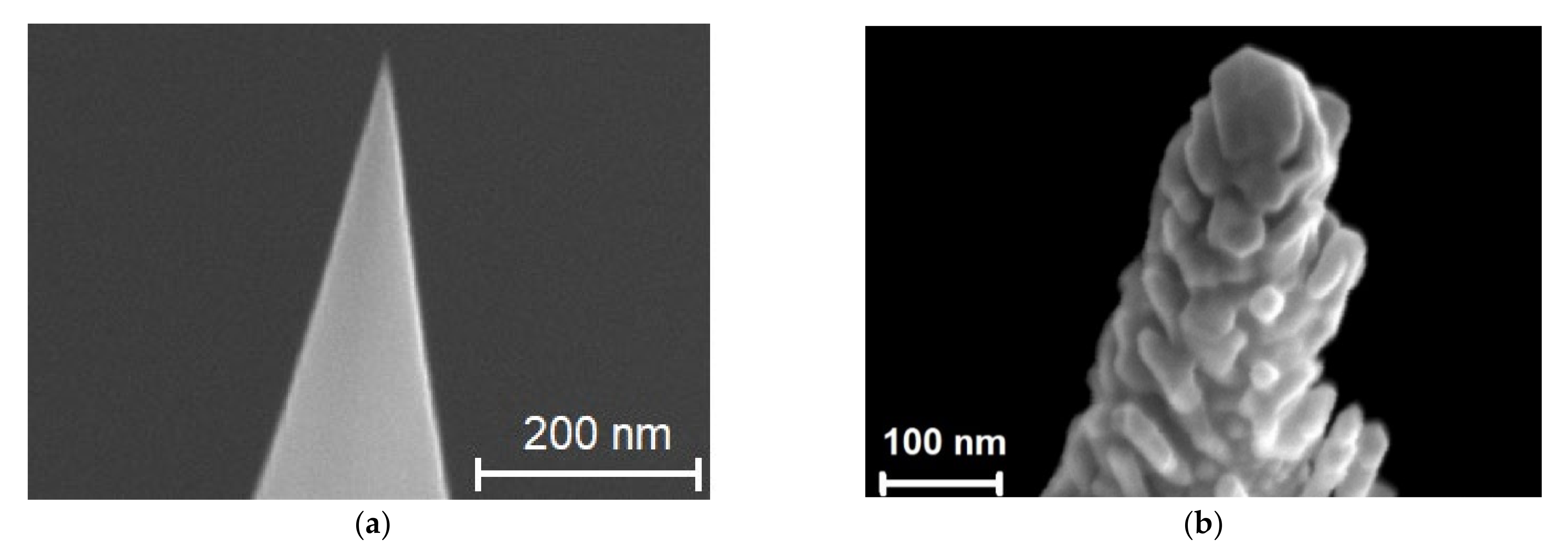 Surface- and Tip-Enhanced Raman Scattering by CdSe Nanocrystals on ...