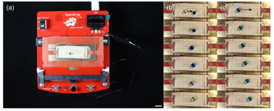 Application of Micro/Nanoporous Fluoropolymers with Reduced Bioadhesion ...