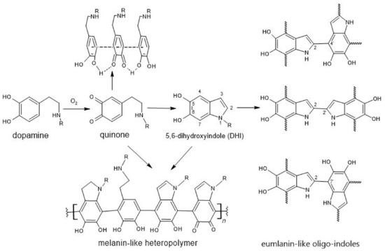 Bio-Inspired Surface Modification of Magnetite Nanoparticles with ...