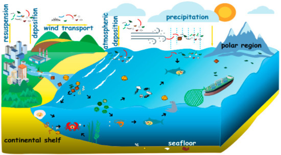 Nanomaterials | Free Full-Text | Adsorption of Different Pollutants by ...