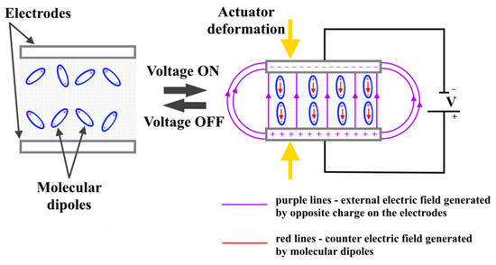 Electroactive Polymer-Based Composites for Artificial Muscle-like ...