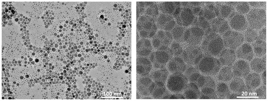 Copper Zinc Sulfide (CuZnS) Quantum Dot-Decorated (NiCo)–S/Conductive ...