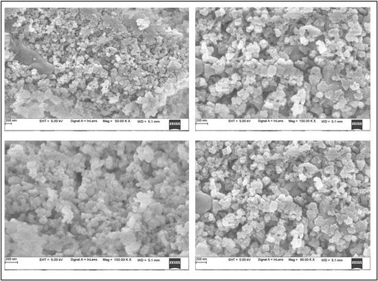 Green Synthesis and Characterization of Iron Nanoparticles Synthesized ...