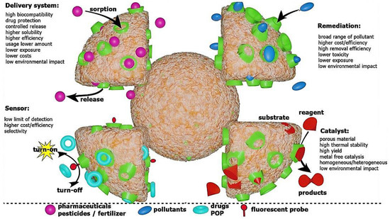 Nanosponges for Drug Delivery and Cancer Therapy: Recent Advances