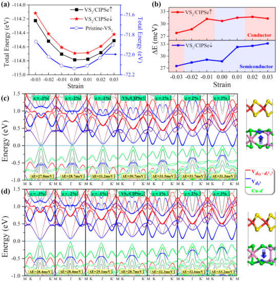 Controllable Valley Polarization and Strain Modulation in 2D 2H–VS2 ...
