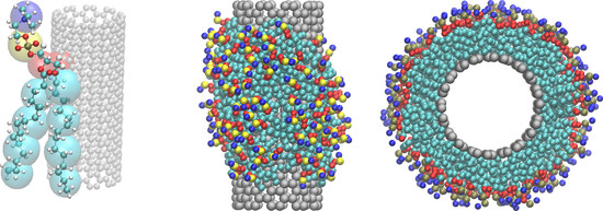 Nanomaterials | Special Issue : Self-Assembly Phenomenon in Nanoscale ...