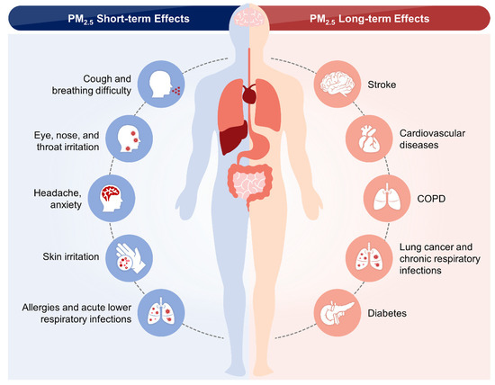 The Impact of Fine Particulate Matter 2.5 on the Cardiovascular System ...