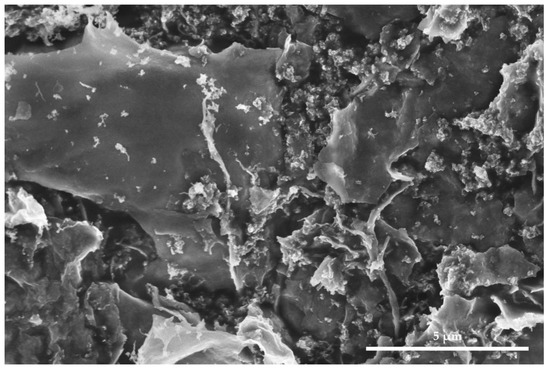 Study of Interactions between Titanium Dioxide Coating and Wood Cell ...