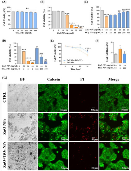 Antagonistic Skin Toxicity of Co-Exposure to Physical Sunscreen ...