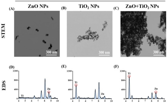 Antagonistic Skin Toxicity of Co-Exposure to Physical Sunscreen ...
