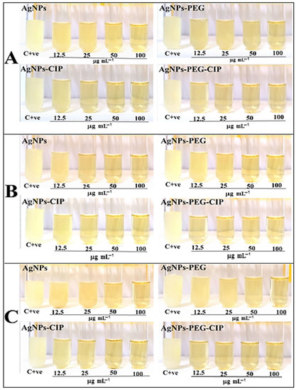 Nanomaterials | Free Full-Text | Ciprofloxacin-Loaded Silver Nanoparticles as Potent Nano ...