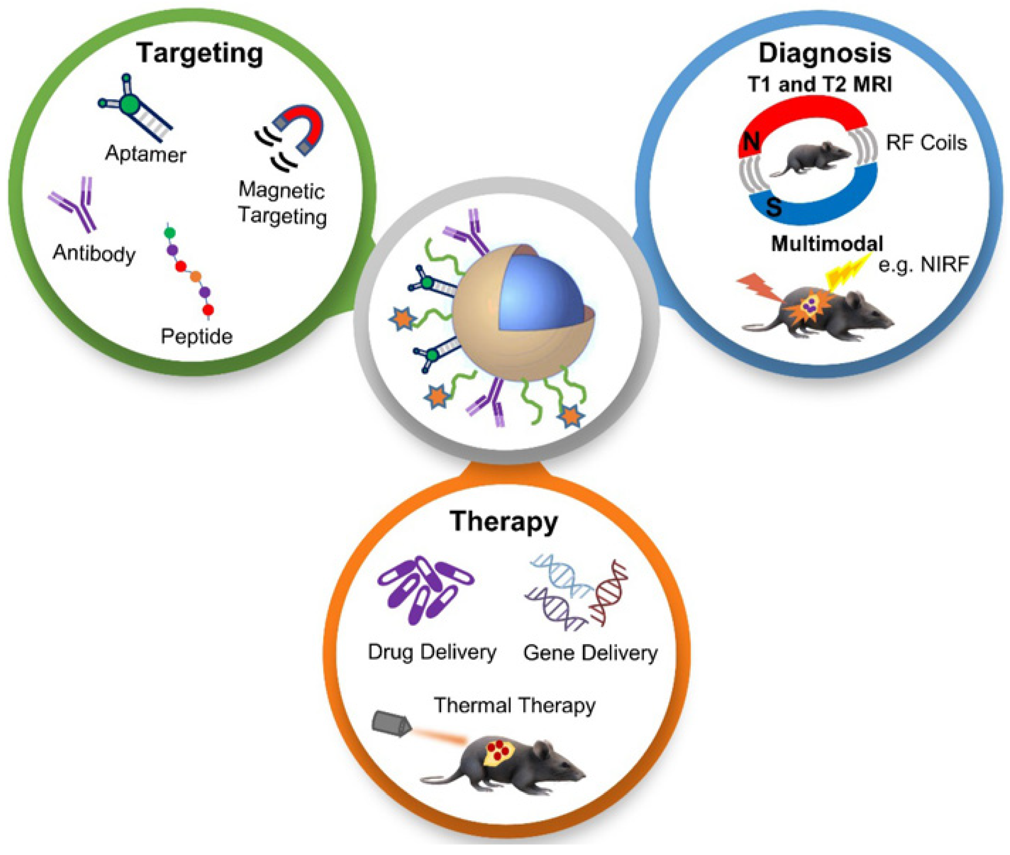 Recent Advances in Functionalized Nanoparticles in Cancer Theranostics