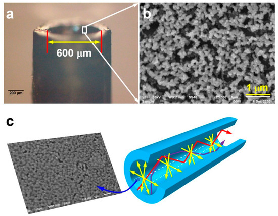 Direct Laser Writing of SERS Hollow Fibers