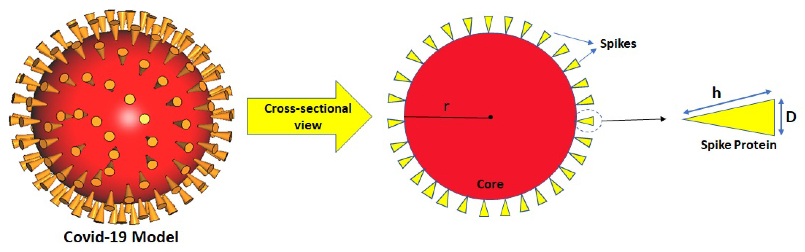 An Optical Modeling Framework for Coronavirus Detection Using Graphene-Based Nanosensor