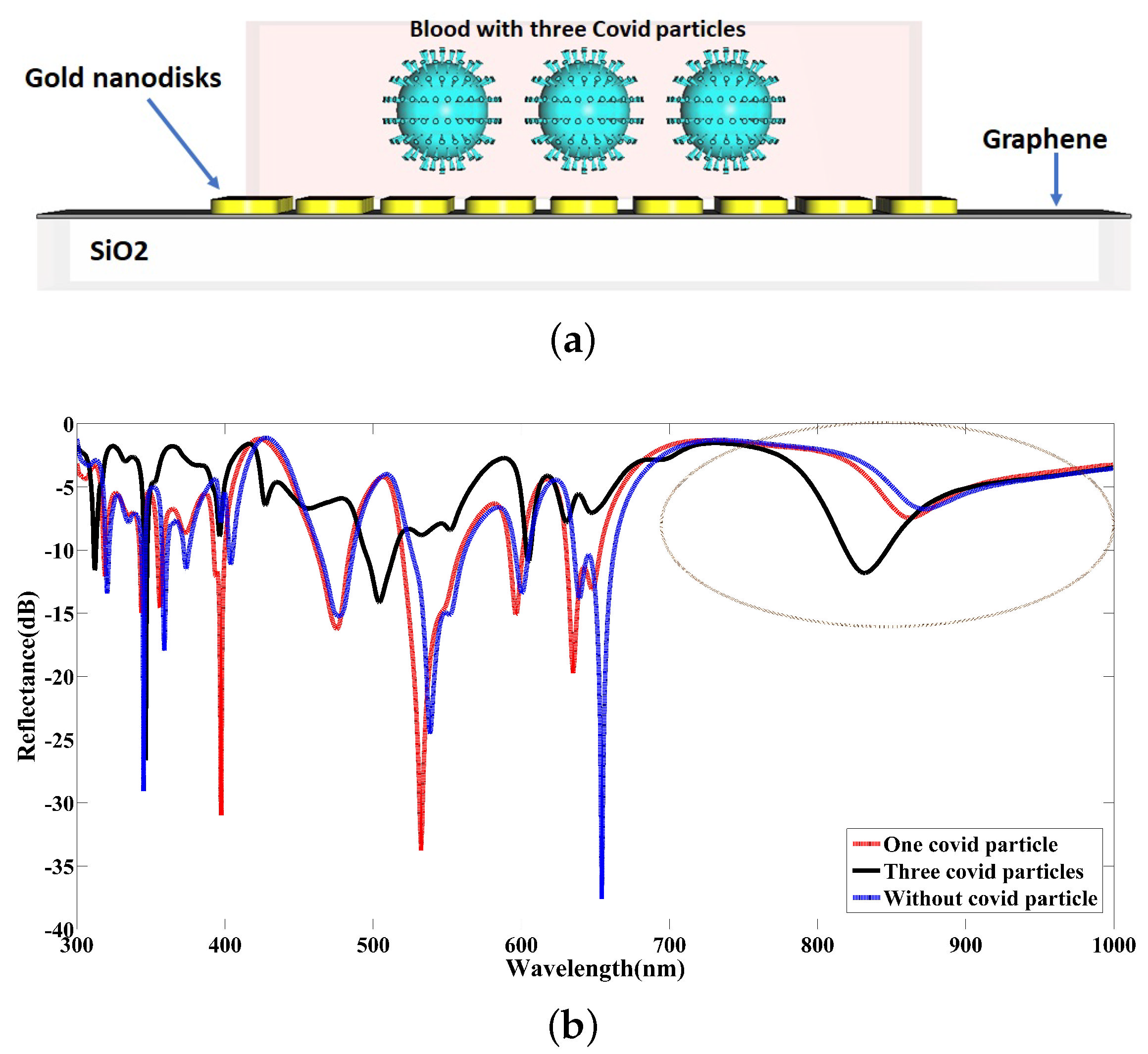 An Optical Modeling Framework for Coronavirus Detection Using Graphene-Based Nanosensor
