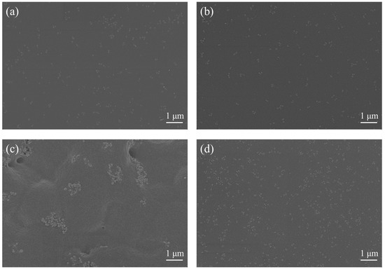 Screen Printing of Surface-Modified Barium Titanate/Polyvinylidene ...