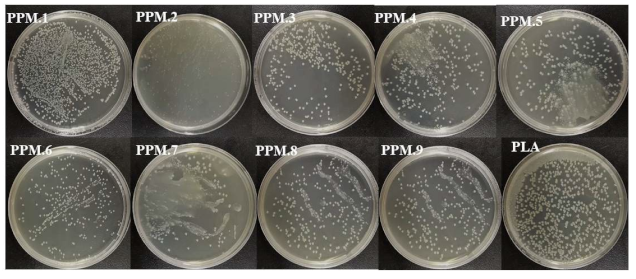 Correction: Xie et al. Preparation and Characterization of New Electrospun Poly(Lactic Acid ...