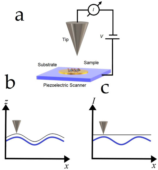 Scanning Tunneling Microscope Tip