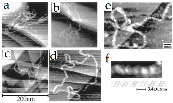 Nanomaterials | Free Full-Text | Scanning Tunneling Microscopy of Biological Structures: An ...