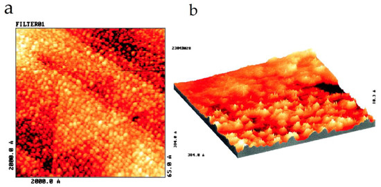 Nanomaterials | Free Full-Text | Scanning Tunneling Microscopy of Biological Structures: An ...