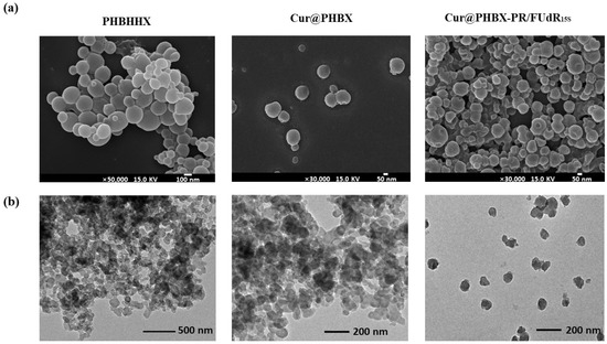 Amphiphilic Cationic Peptide-Coated PHA Nanosphere as an Efficient ...