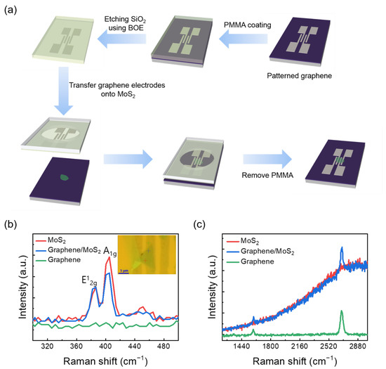 Tuning Schottky Barrier of Single-Layer MoS2 Field-Effect Transistors ...