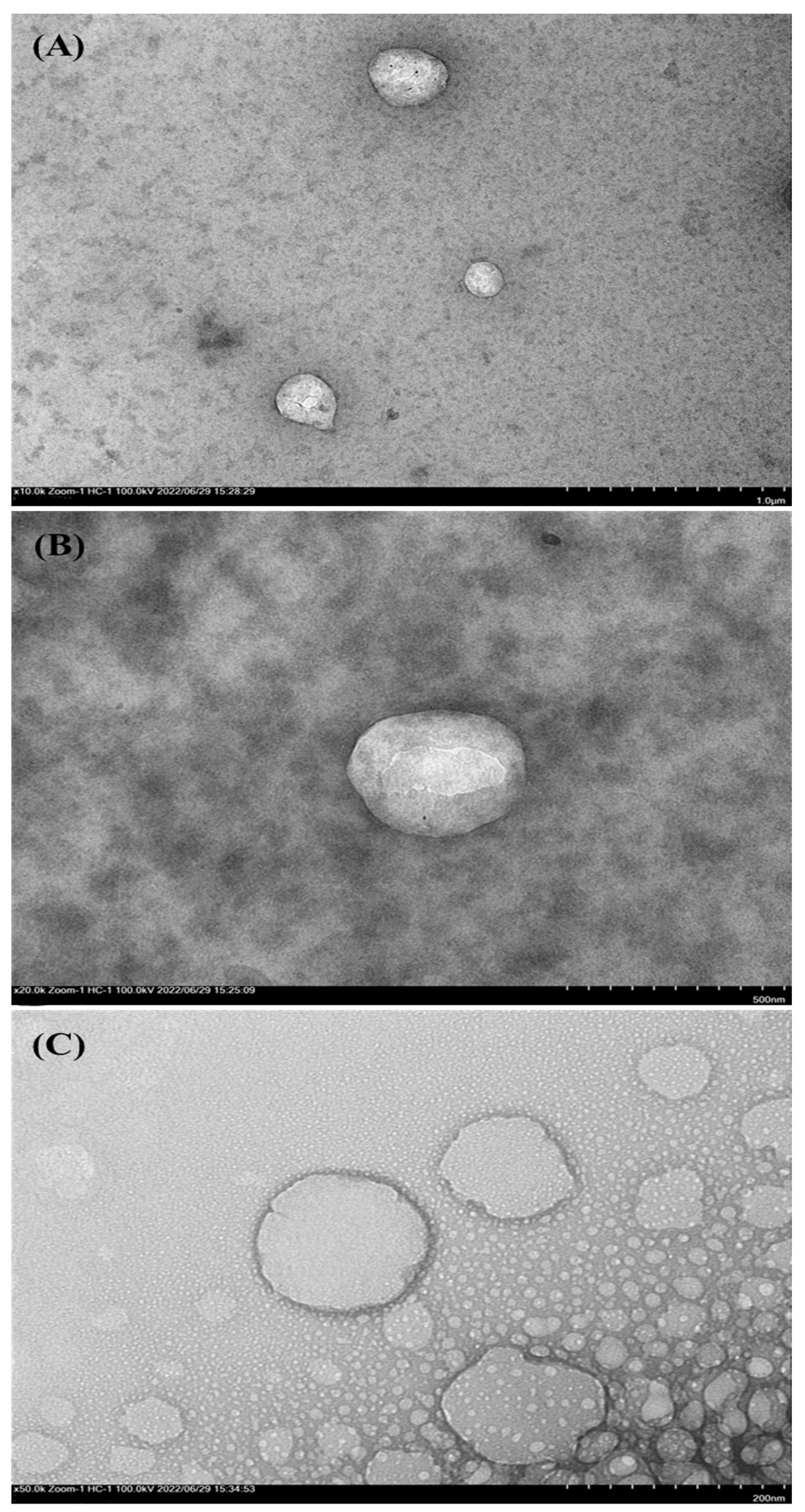 Preparation of Solid Lipid Nanoparticle-Ferrous Sulfate by Double ...