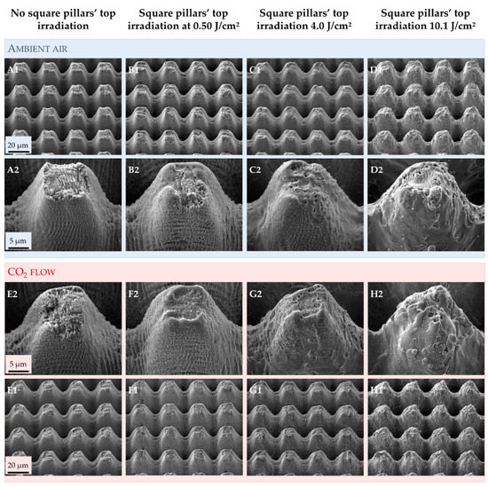 Effect of Texturing Environment on Wetting of Biomimetic ...