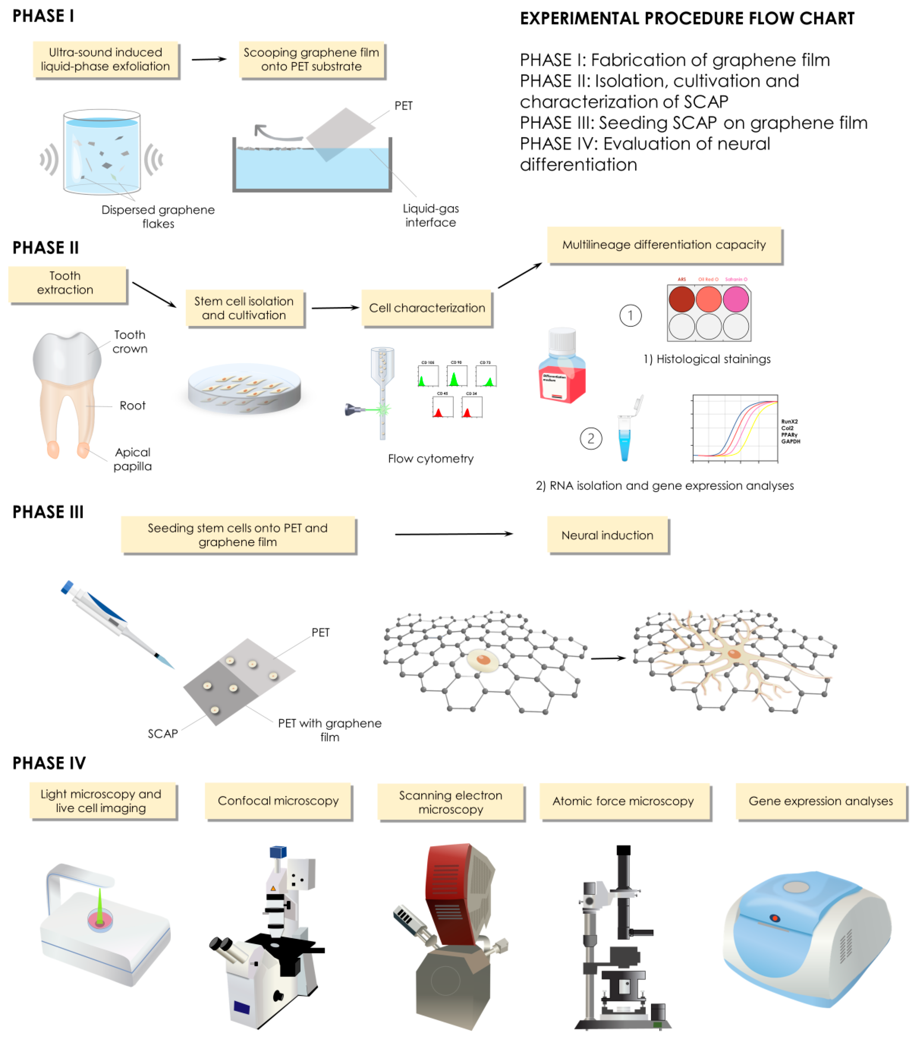 The Effect of Liquid-Phase Exfoliated Graphene Film on ...