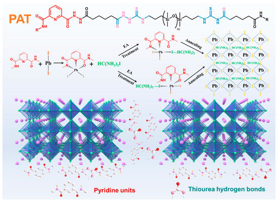 Surface Chelation Enabled by Polymer-Doping for Self-Healable ...