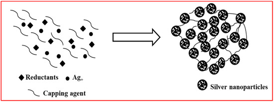 Biologically Synthesized Silver Nanoparticles and Their Diverse ...