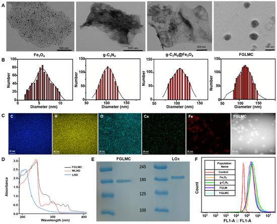 Multifaceted Elevation of ROS Generation for Effective Cancer Suppression