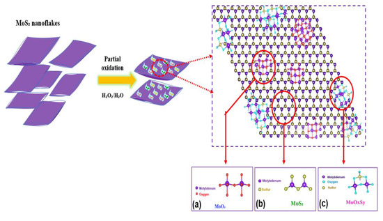 Efficient and Facile Synthetic Route of MoO3:MoS2 Hybrid Thin Layer via ...