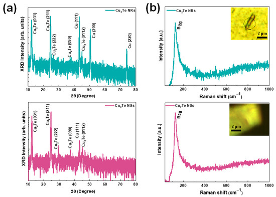 Novel Nanoarchitectured Cu2Te as a Photocathodes for ...