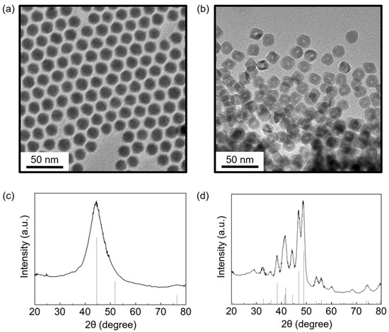 Synthesis of Highly Monodisperse Nickel and Nickel Phosphide Nanoparticles