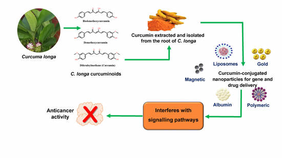 Nanomaterials | Free Full-Text | The Potential of Curcumin-Capped ...