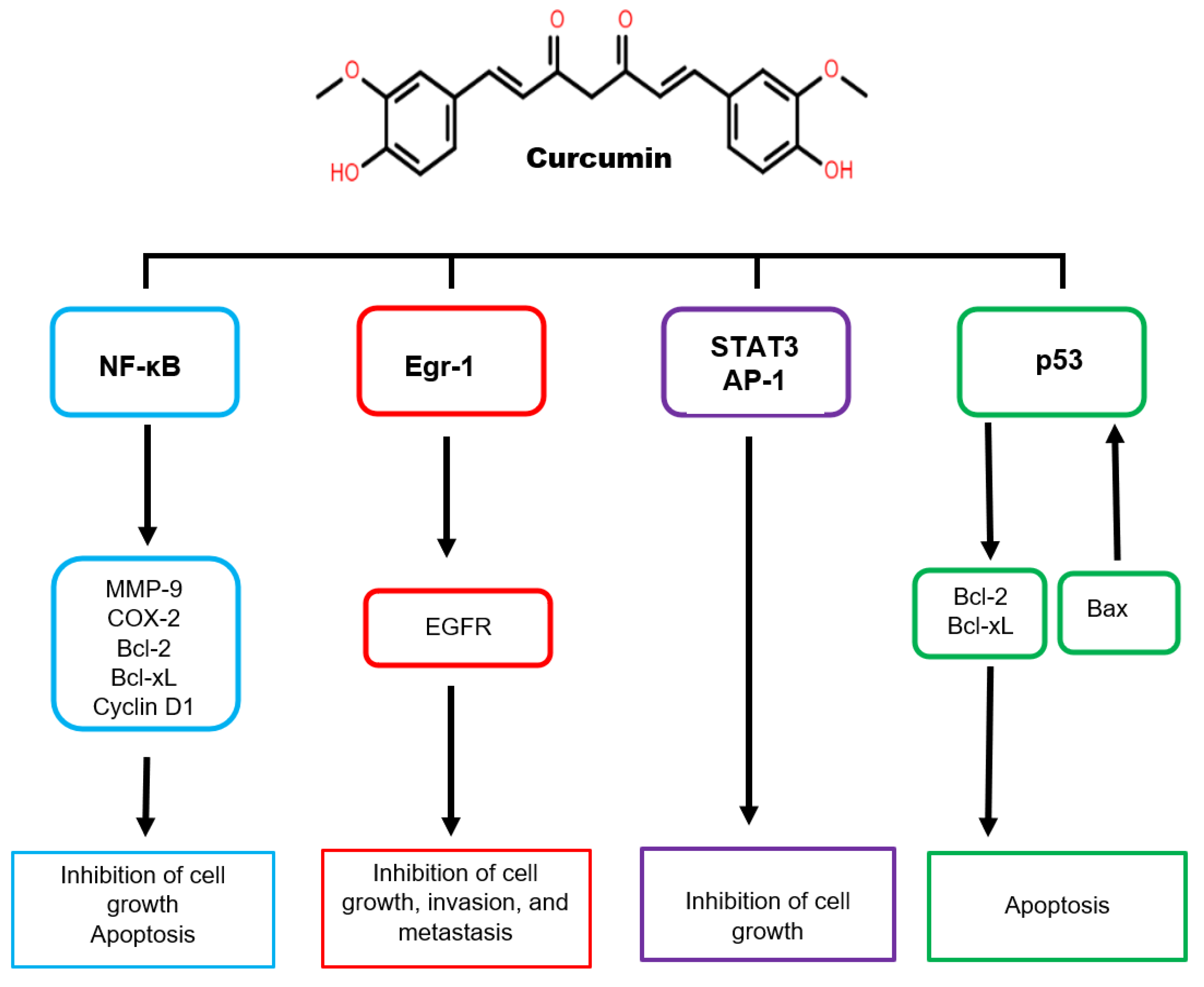 The Potential of Curcumin-Capped Nanoparticle Synthesis in Cancer ...