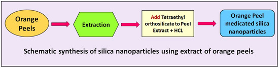 Nanomaterials | Special Issue : Nanotoxicology and Environmental Safety