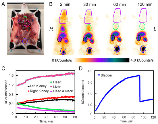 Nanomaterials | Free Full-Text | Biodistribution of Multimodal Gold ...