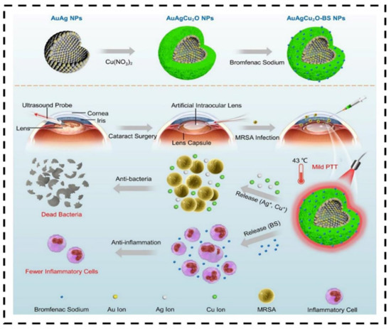 Recent Insights into NIR-Light-Responsive Materials for Photothermal ...