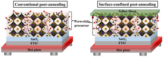 Perovskite-Surface-Confined Grain Growth for High-Performance Perovskite Solar Cells