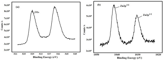 Biosynthesis of ZnONP Using Chamaecostus cuspidatus and Their Evolution ...