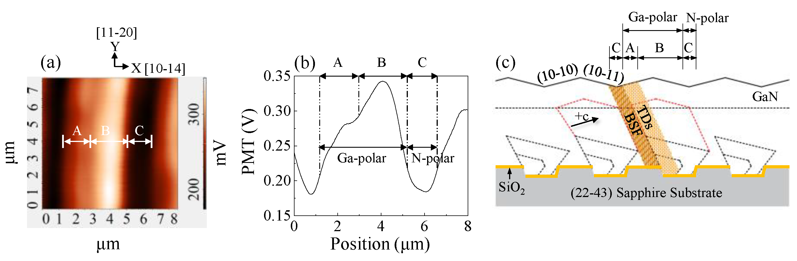 Nanomaterials | Free Full-Text | The Differences in Spatial ...