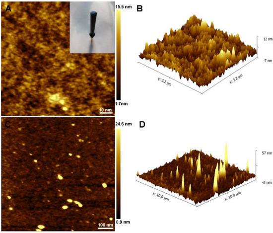 A Novel Electrochemical Sensing Strategy Based on Poly (3, 4 ...