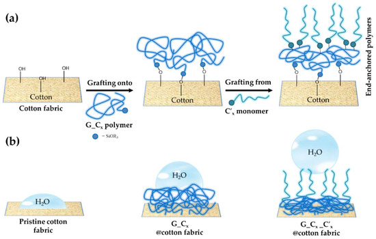 Functional Silane-Based Nanohybrid Materials for the Development of Hydrophobic and Water-Based ...