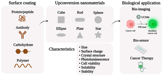 Upconversion Nanomaterials in Bioimaging and Biosensor Applications and Their Biological Response