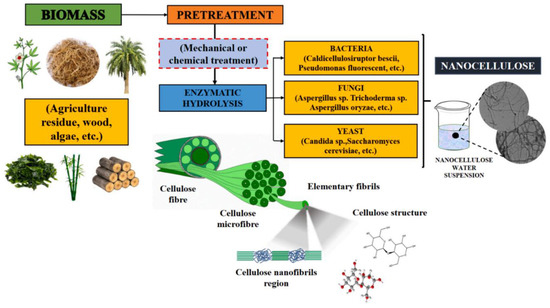 Nanocellulose-Based Nanocomposites for Sustainable Applications: A Review