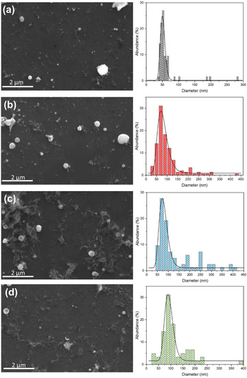 Synthesis of Silver, Gold, and Platinum Doped Zinc Oxide Nanoparticles by Pulsed Laser Ablation ...