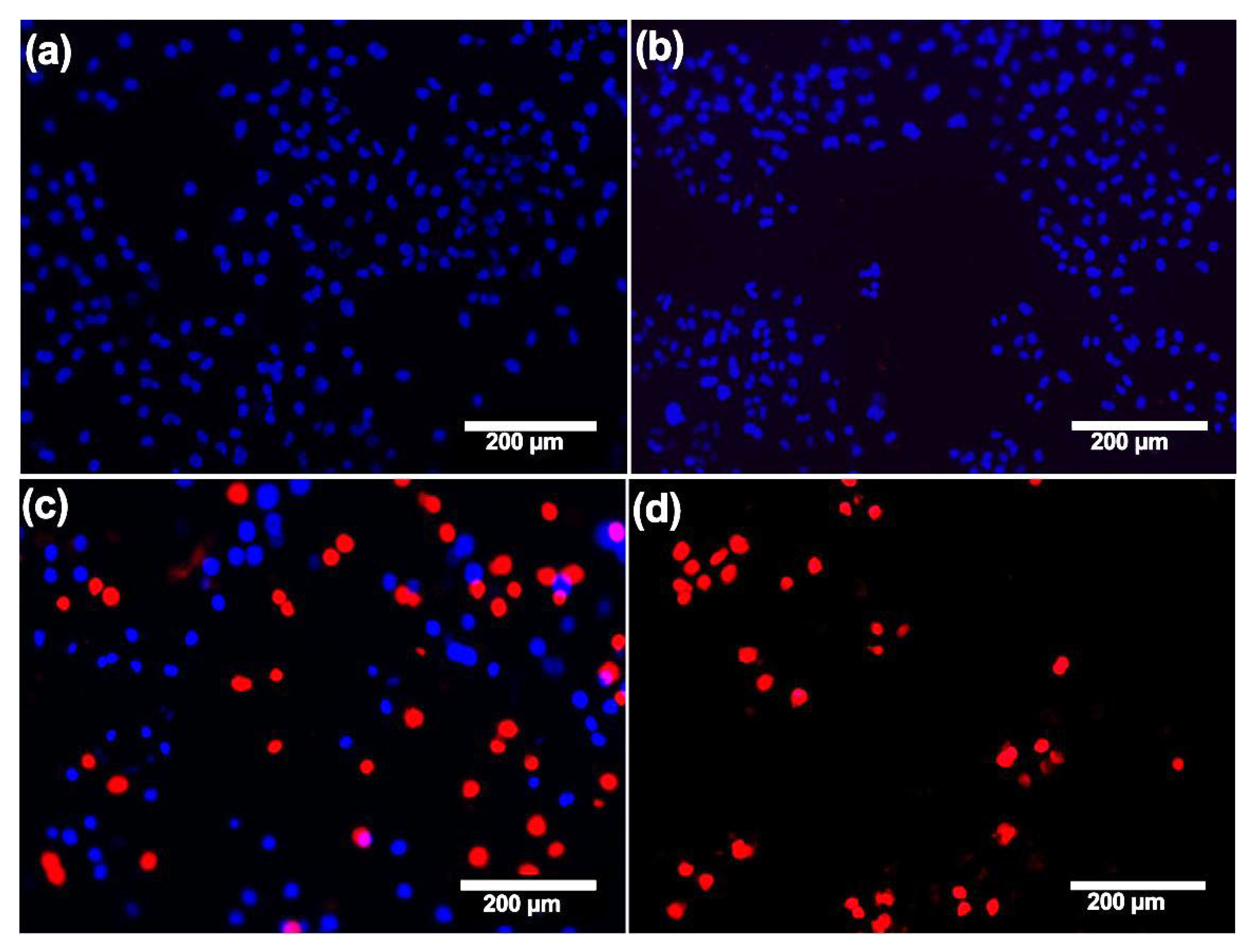 A549 Cell-Covered Electrodes as a Sensing Element for Detection of ...